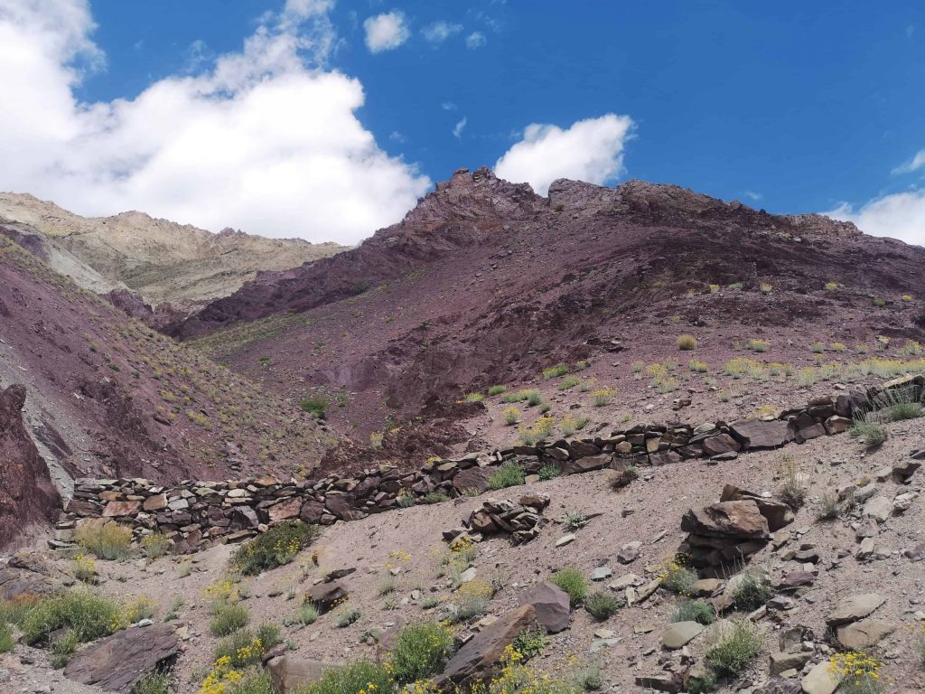 【2019印度自助】Markha Valley 奇幻山谷3天2夜健行之旅，路線說明、地圖、費用、住宿大公開 – Travel with ...